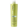 Себорегулирующий шампунь Shampoo Balance Inebrya R+B+E+C, 300 мл ...